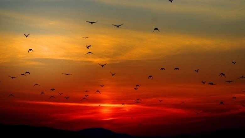 ¿Qué fue el Evento Carrington? La imponente tormenta solar de 1859 ...